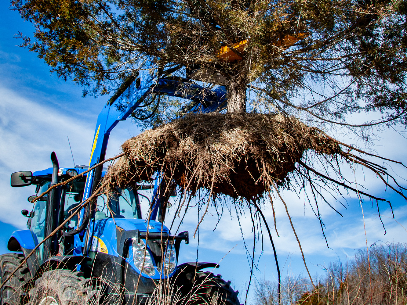 Intimidator Euro/Global Quick Attach with Side Saw Teeth Jaws | Danuser