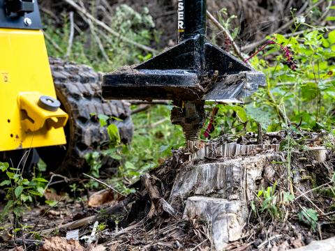 Stump Auger | Danuser